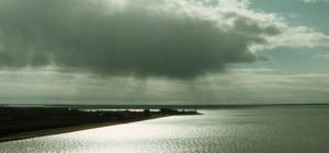 Dutch Light Joseph Beuys and the myth - Dutch Light